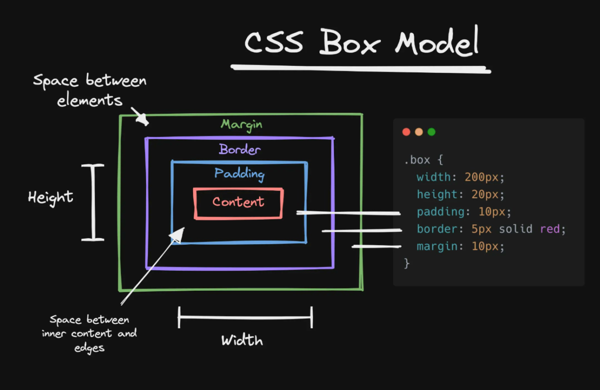 การใช้งาน CSS Box Model - Nkaub Blog